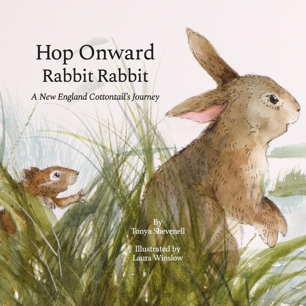 Hop Onward Rabbit Rabbit – Maine Audubon Nature Store