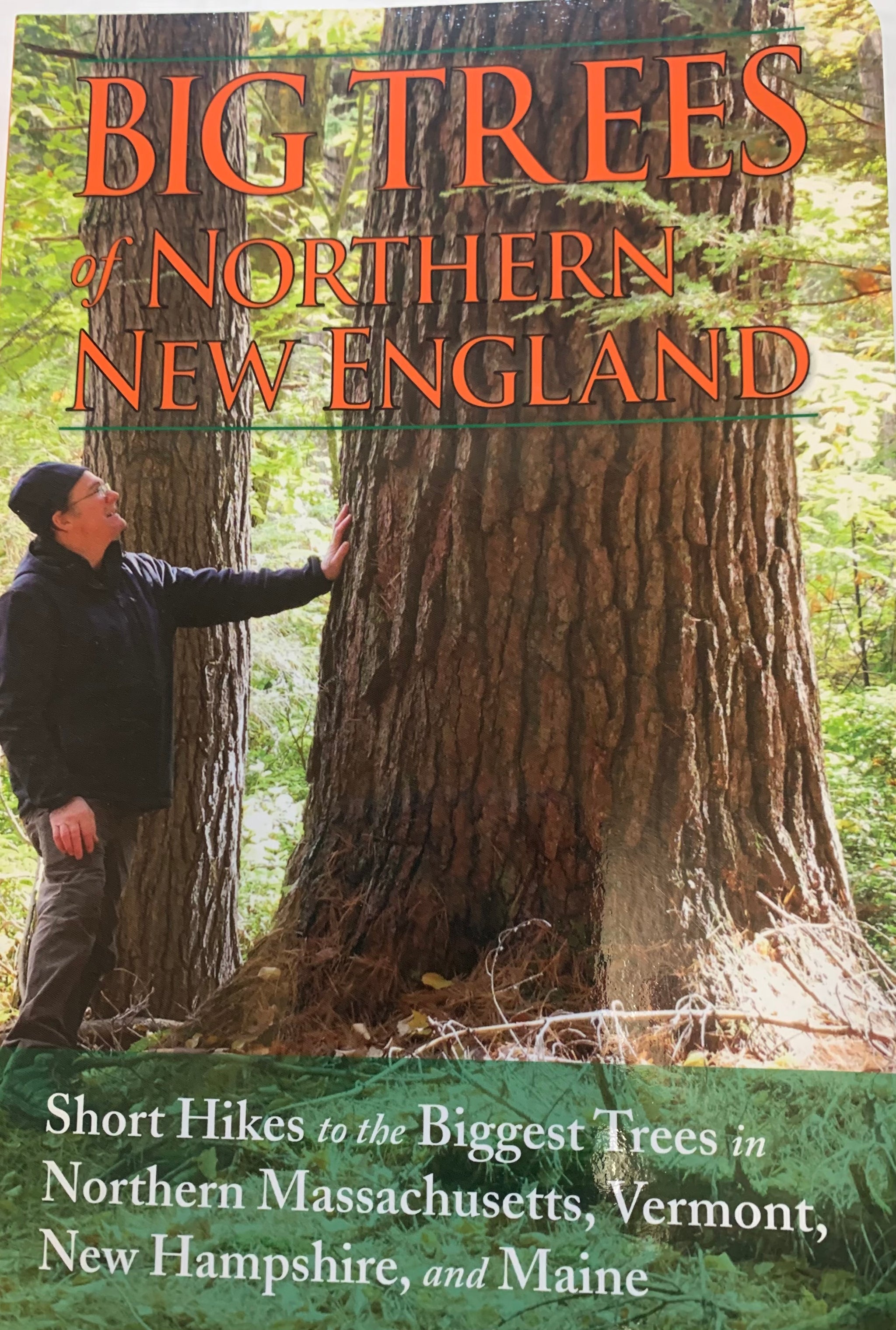 Big Trees of Northern New England – Maine Audubon Nature Store