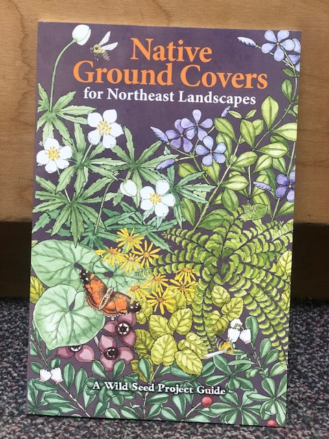 Native Ground Covers - Wild Seed Project – Maine Audubon Nature Store